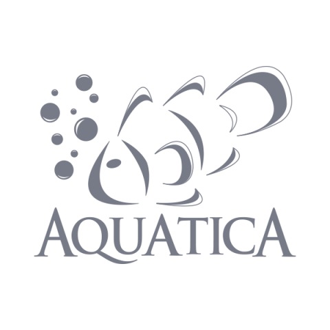 Graphic Design Services - Apollo Ridge Design